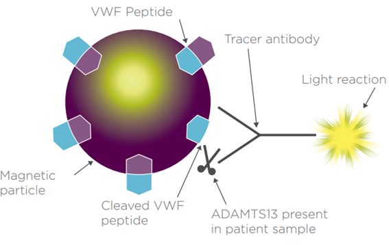 Newsletter 01/2022 - Haemostaseologie | Werfen in Deutschland